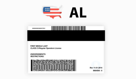 PDF417 Online Generator - Free Online Generator. How to make, use and ...