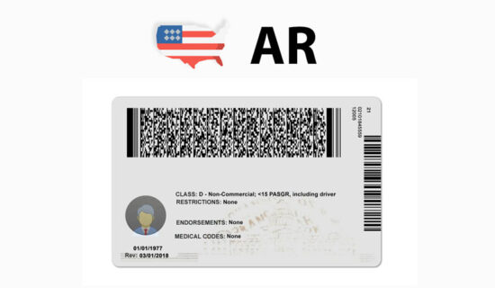 PDF417 Online Generator - Free Online Generator. How to make, use and ...