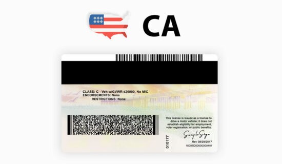 PDF417 Online Generator - Free Online Generator. How to make, use and ...