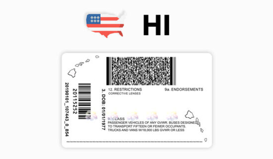 PDF417 Online Generator - Free Online Generator. How to make, use and ...