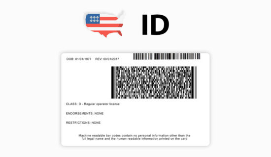 PDF417 Online Generator - Free Online Generator. How to make, use and ...