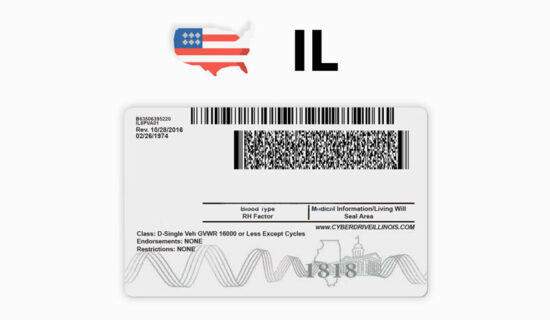 PDF417 Online Generator - Free Online Generator. How to make, use and ...