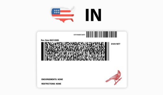 PDF417 Online Generator - Free Online Generator. How to make, use and ...