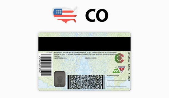 PDF417 Online Generator - Free Online Generator. How to make, use and ...