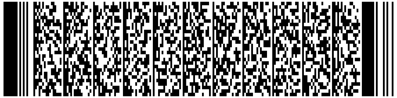 Barcode Washington D.C. ID - PDF417 Online Generator