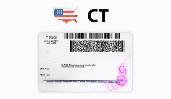 PDF417 Online Generator - Free Online Generator. How to make, use and ...